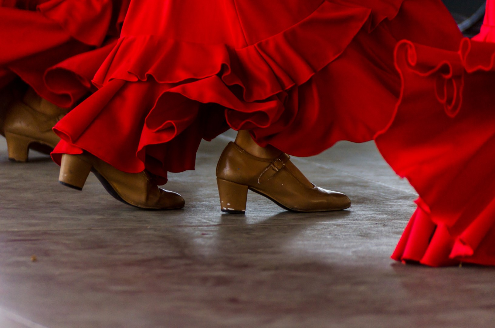 Flamenco Show